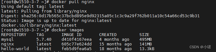 Docker安装nginx Csdn博客