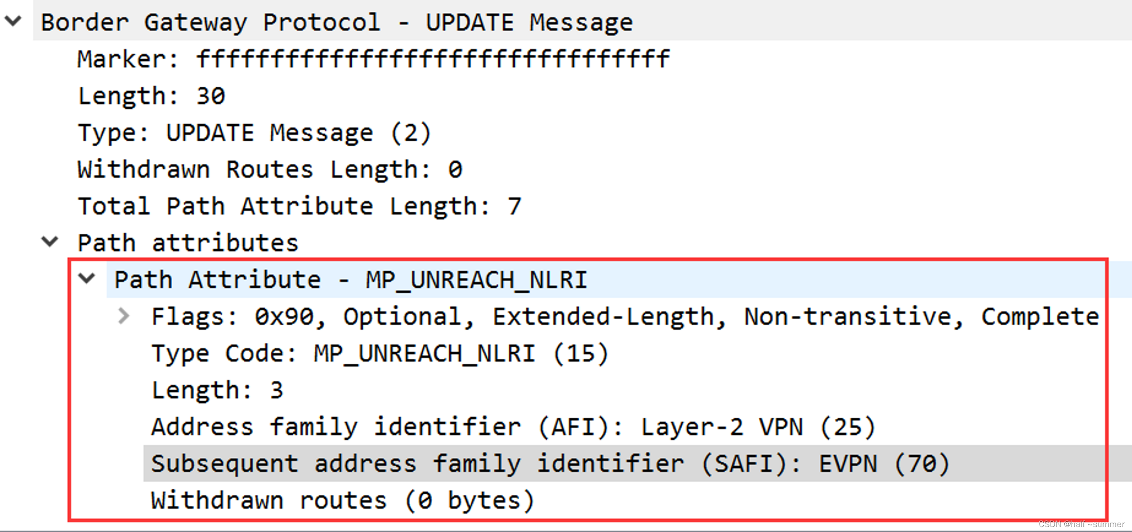EVPN VXLAN报文交互_vnirt-CSDN博客