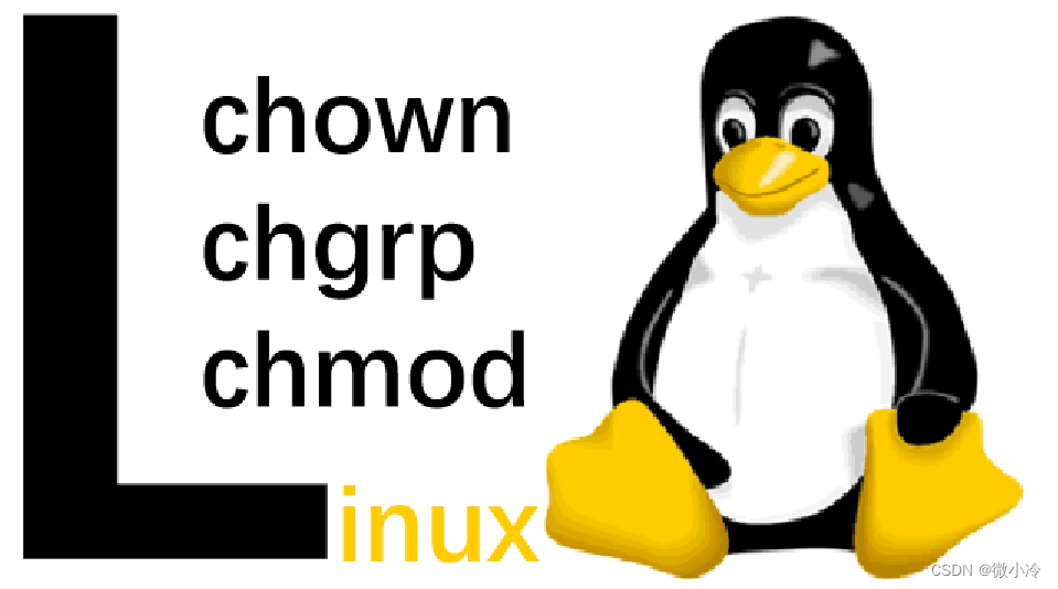 Linux用户和权限：chown, chgrp,chmod-CSDN博客