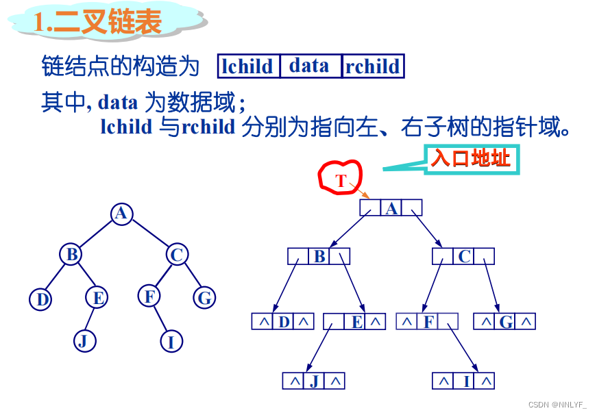 数据结构 树与二叉树层次遍历 Bfsbreadth First Search 用队列实现 Csdn博客