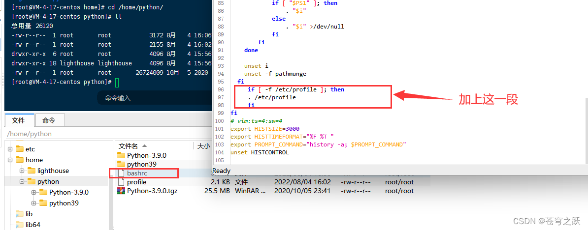docker运行centos镜像 安装python3.9环境_docker python3.9-CSDN博客