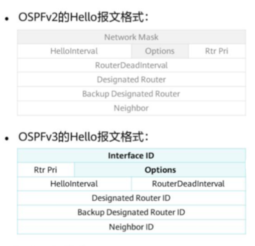 OSPFv3报文讲解（与OSPFv2的区别）_ospfv2和ospfv3认证区别-CSDN博客