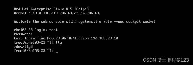 RHEL8基础命令的使用_redhat8怎么打开终端-CSDN博客