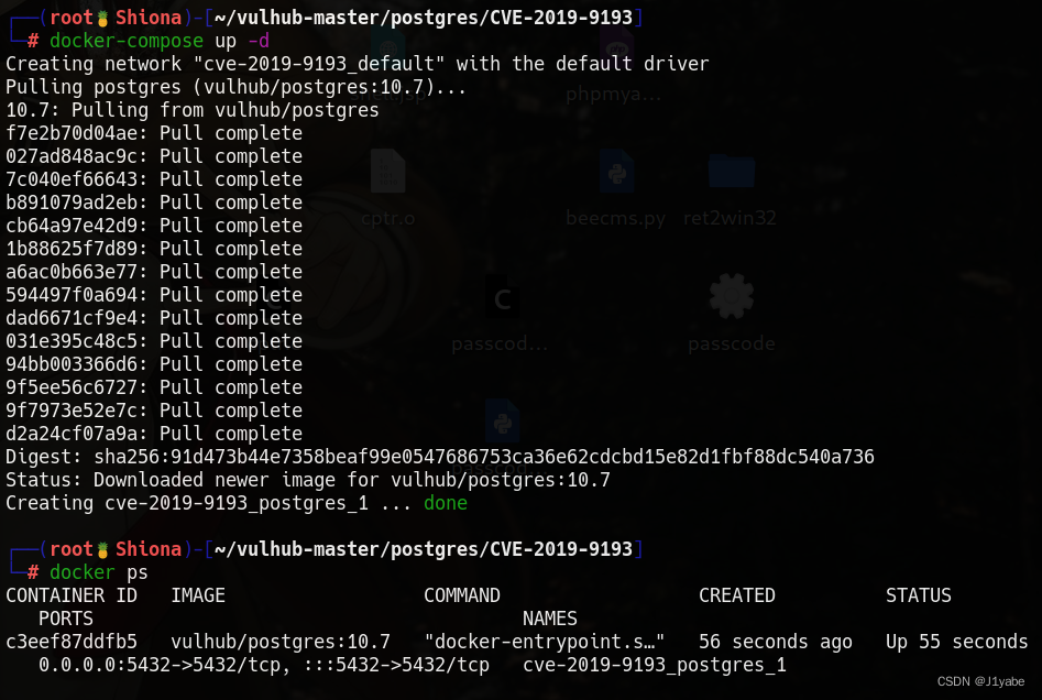 Cve 2019 9193 Postgresql 高权限命令执行漏洞 Csdn博客 