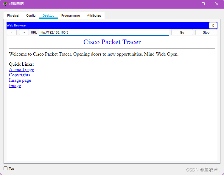Cisco | 思科访问网页实现WWW服务_cisco访问网页-CSDN博客