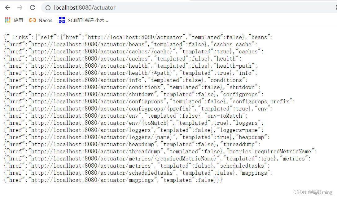 【精选】23-SpringBoot 指标监控Actuator_spring-boot-starter-actuator metrice_鸣鼓ming的博客-CSDN博客