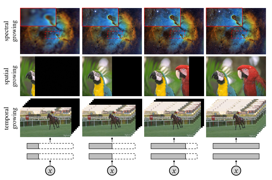 Streamable Neural Fields_神经场(neural fields)-CSDN博客