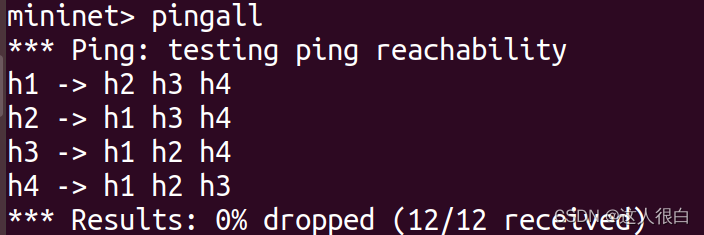 Mininet中自定义拓扑pingall失败及处理办法_ryu和mininet 启动拓扑图时pingall不通-CSDN博客