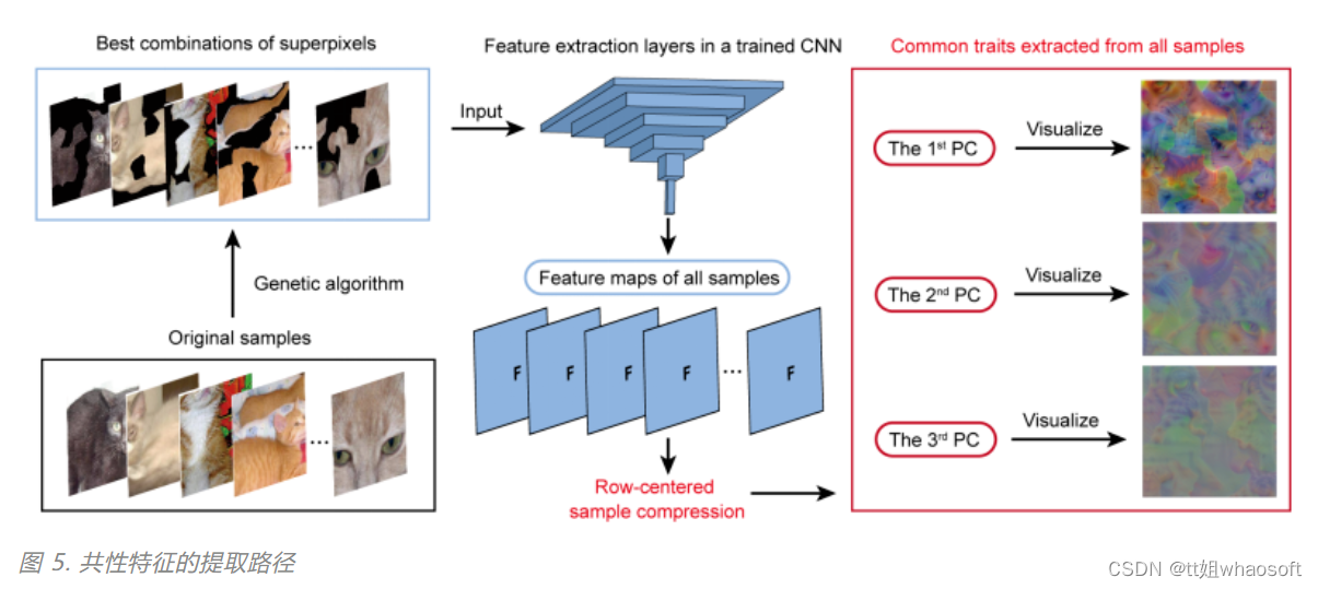 CNN的识别机制_cnn 模式识别-CSDN博客