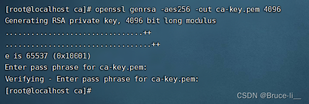 Docker学习(十一)-----docker-ca加密认证_在docker容器内生成公私钥-CSDN博客
