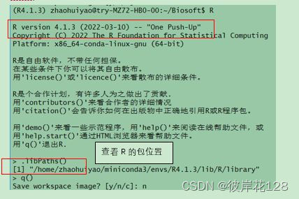 conda安装指定版本R_conda 安装r-CSDN博客