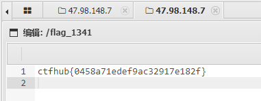 CTF之旅（CTFHub技能树+详细Write up+持续更新ing)（RCE）_ctfhub writeup 管理后台-CSDN博客