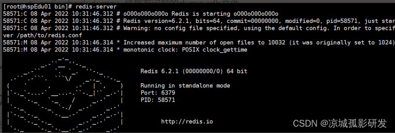 redis linux 上详细流程总结_linux 操作redis-CSDN博客