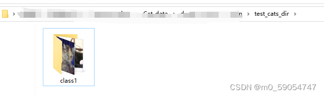 解决使用Keras中的flow_from_directory时出现found 0 images belonging 0 classes（详细解释，已解决）_found 0 images ...
