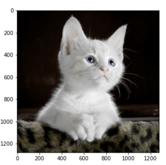 albumentations.HorizontalFlip、Rotate、RandomBrightnessContrast ...