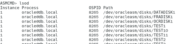 ASMCMD 磁盘组管理命令_asm磁盘组管理命令-CSDN博客