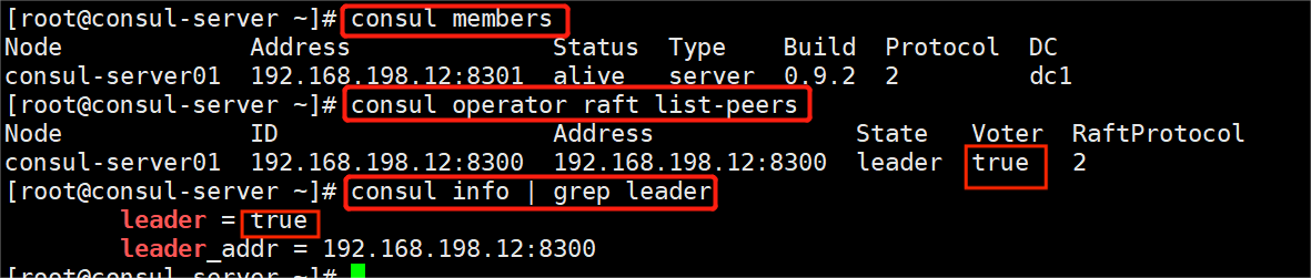 Docker容器：docker consul的注册与发现及consul-template守护进程_docker 注册发现-CSDN博客