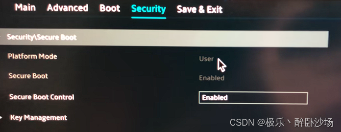 华硕天选2 secureboot灰色无法点击，修改之后成功enabled_boot option priorities灰色无法点击-CSDN博客