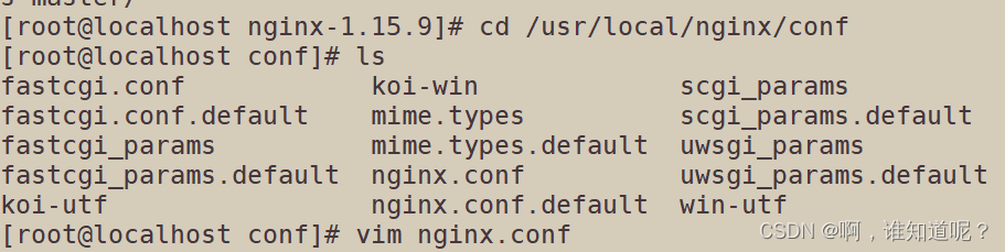 Nginx虚拟主机流量状态模块_nginx vhost traffic status指标介绍-CSDN博客
