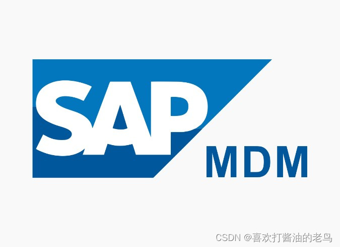 SAP 中的MDM 跟 MDG 有什么区别？_mdm和mdg的区别-CSDN博客