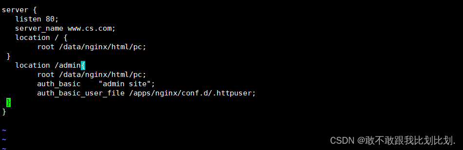 Nginx服务与调优-CSDN博客