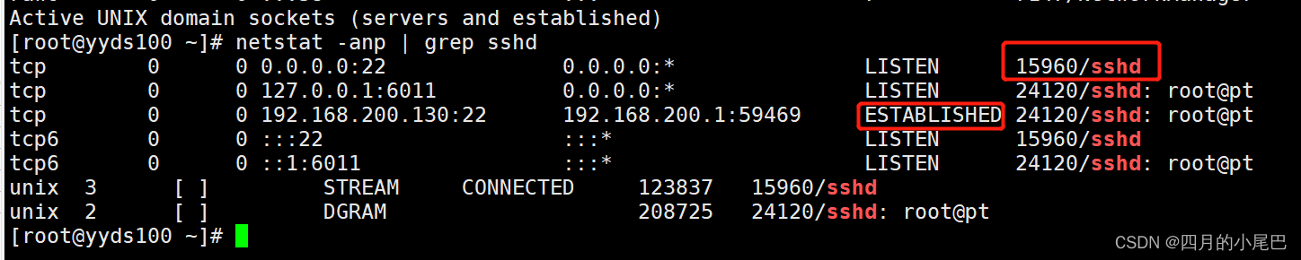 Linux15 进程管理 ps查看进程信息 kill进程 pstree进程树 service管理systemctl运行级别 chkconfig ...