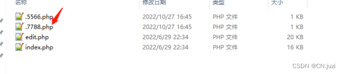 Doliber ERP & CRM 的漏洞复现报告_dolibarr 12.0.3漏洞复现-CSDN博客