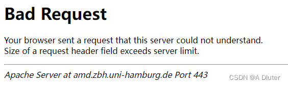 Bad Request:Your browser sent a request that this server could not understand.-CSDN博客