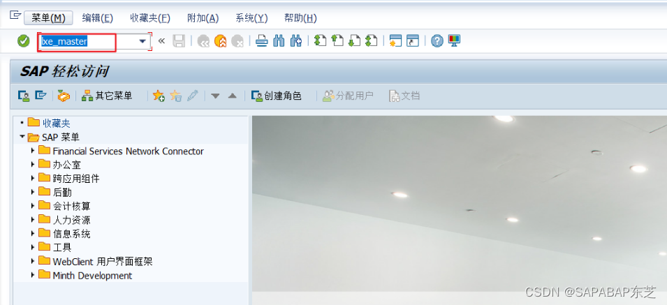 【sap Abap】 Sap整包翻译,顾问可学习lxemastersap 没有语言包实现翻译 Csdn博客