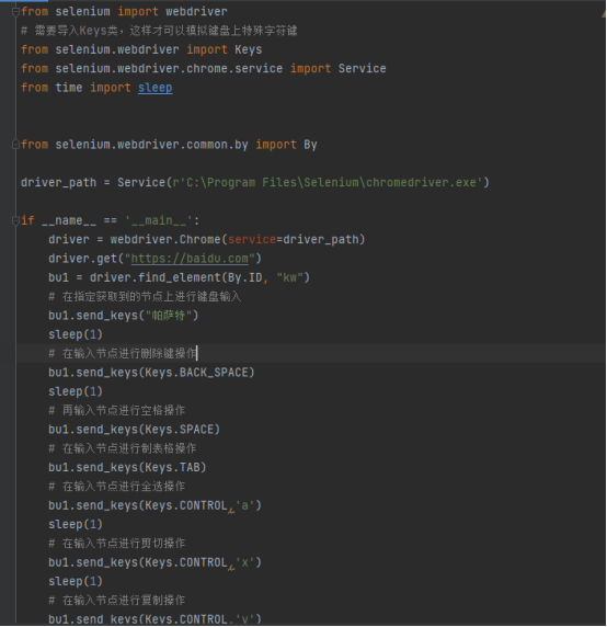 Selenium框架进行自动化相关测试指导手册_selenium使用文档-CSDN博客