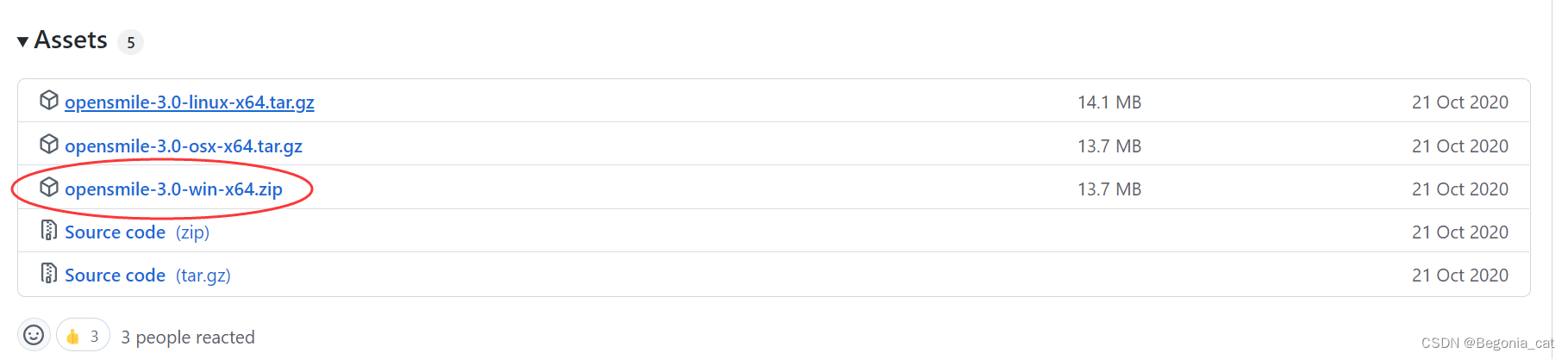音乐音频 | openSMILE安装_windows_3.0版本_opensmile安装教程-CSDN博客