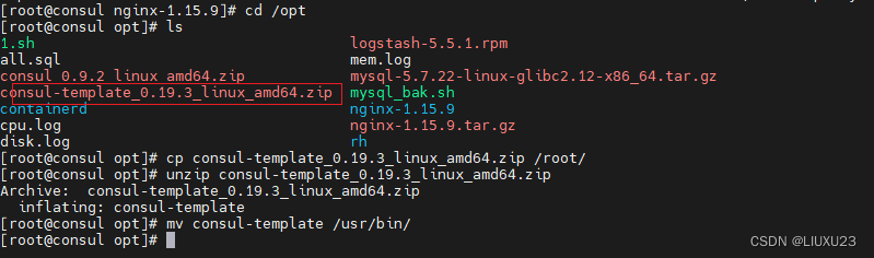Docker-consul部署_docker 安装consul-CSDN博客