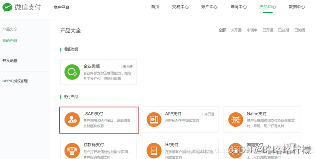 springboot实现微信支付V2，V3版本详解-CSDN博客