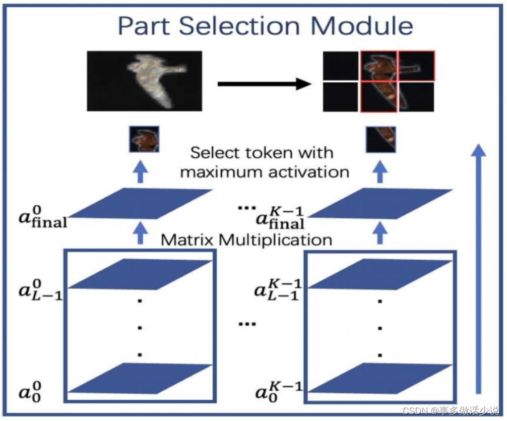 【论文笔记】TransFG: A Transformer Architecture for Fine-Grained Recognition_fine-grained recognition ...