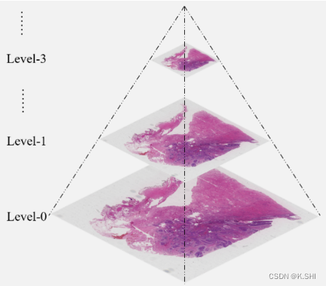 openslide使用教程-CSDN博客