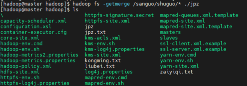 Hadoop集群报错解决及hadoop fs 的常用操作_hadoop fs -put-CSDN博客