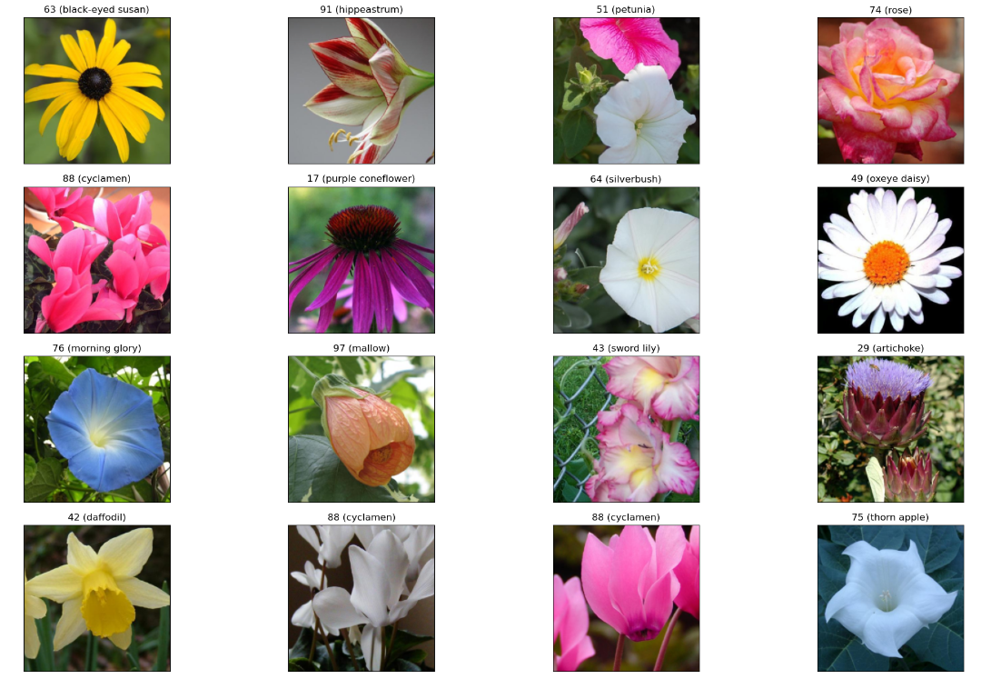 Pytorch框架实战——102类花卉分类_alexnet 采用数据集:采用 flowers102 数据集,-CSDN博客