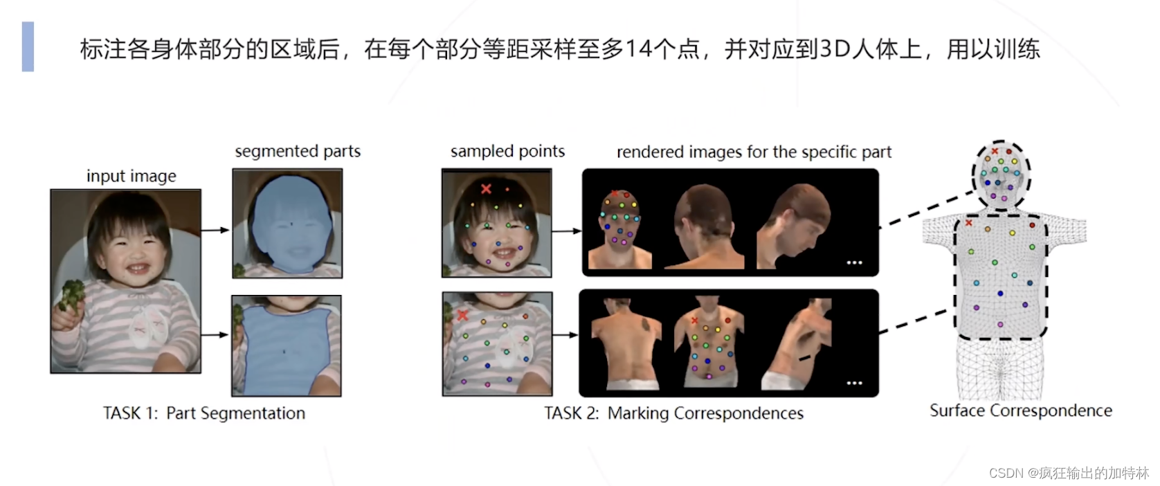 OpenMMLab AI实战营第二期｜人体关键点检测与MMPose学习笔记_smpl 人体关键点-CSDN博客