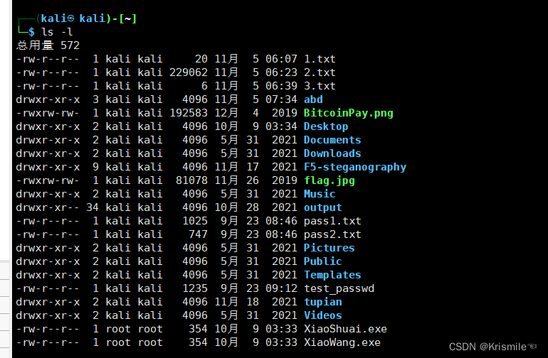 kali Linux 基础命令讲解一_kali保存退出的命令-CSDN博客