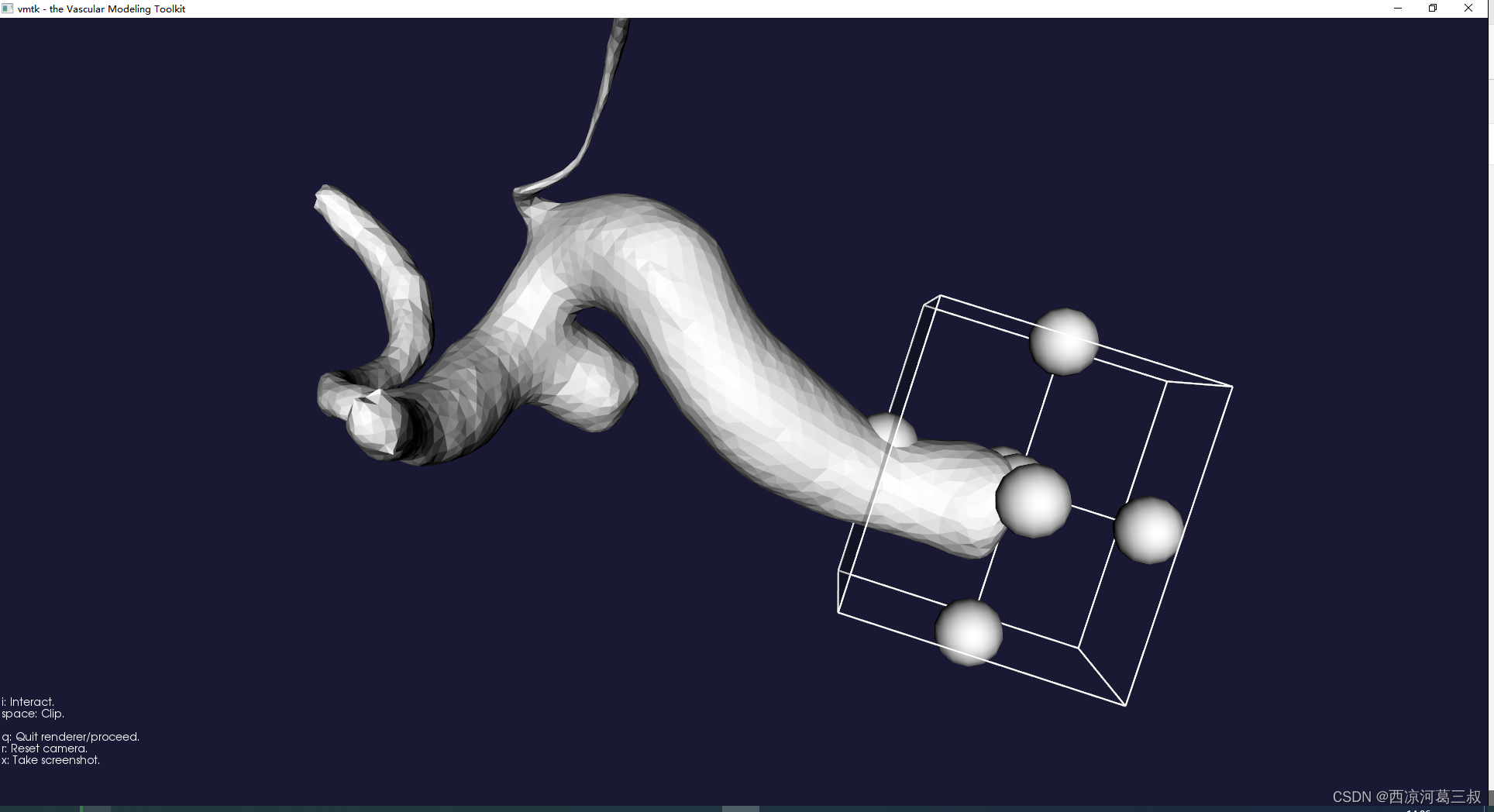 python & vmtk 提取血管中心线_python vmtk 血管中心线-CSDN博客