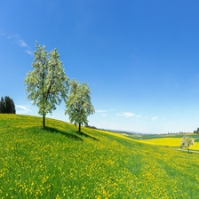 pb文件转java 报：protoc did not exit cleanly. Review output for more information-CSDN博客