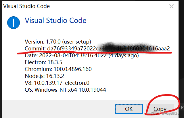 离线的局域网，win10机器通过VSCode远程连接ubuntu服务器_vscode-server-linux-x64.tar.gz-CSDN博客