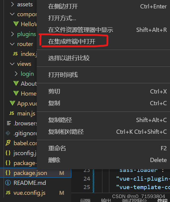 安装一下配置，但是package.json 没有显示_package.json 依赖关系中未列出模块-CSDN博客