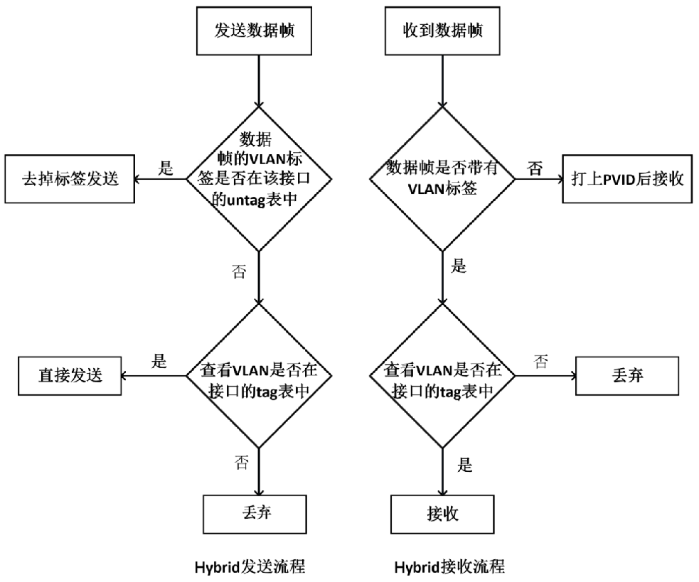 1.hybird、VLAN基本概念-CSDN博客