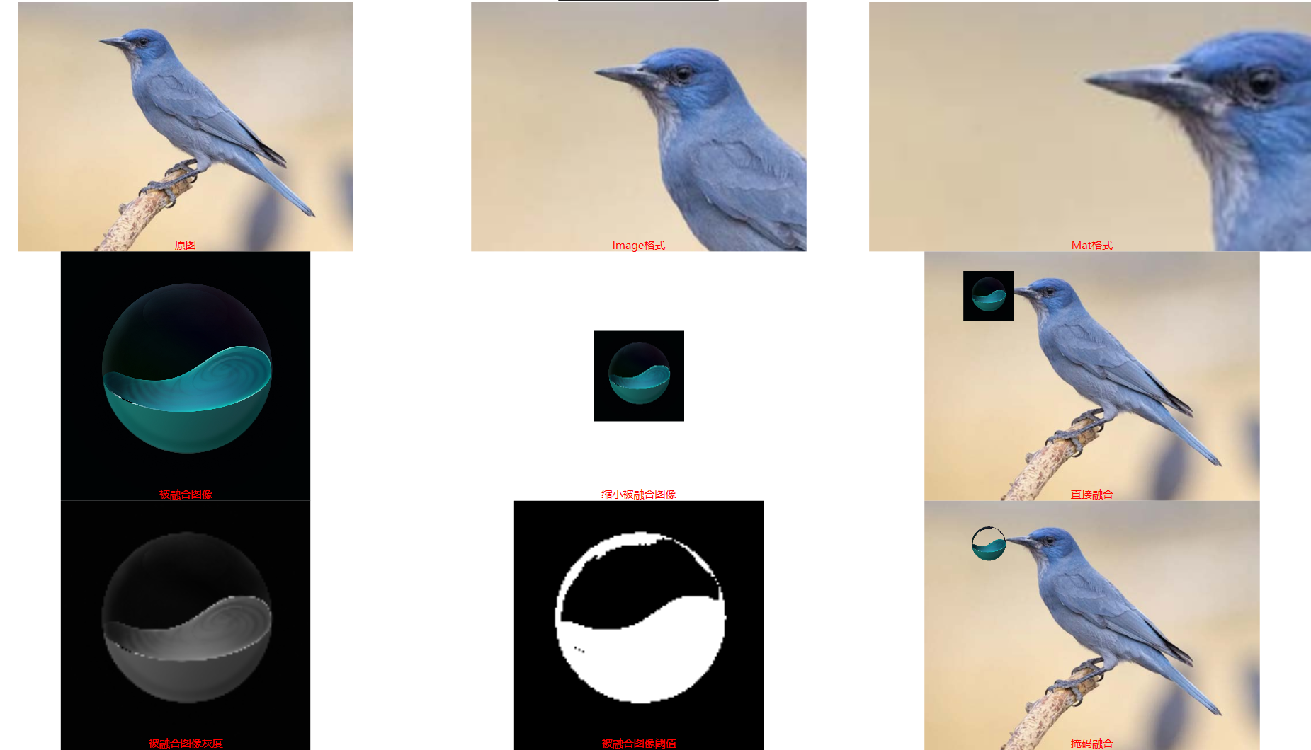 EMGU.CV入门（六、图片融合）-CSDN博客