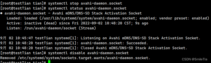 Centos7/Centos8关闭avahi-daemon服务_avahi-daemon 服务关闭-CSDN博客