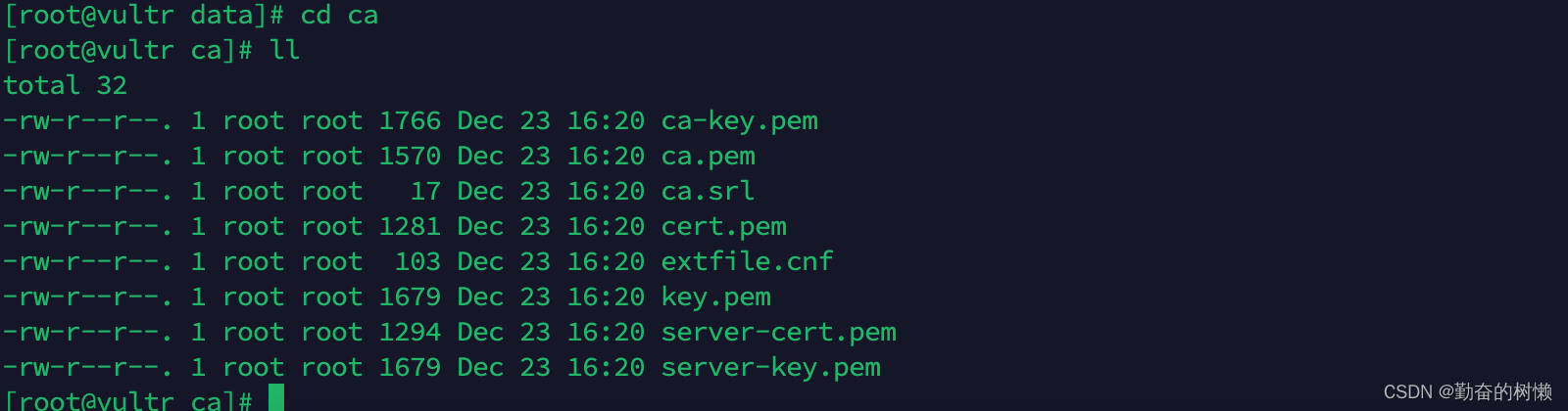 Portainer添加远程Docker（TLS加密）_docker environment wizard 加密-CSDN博客