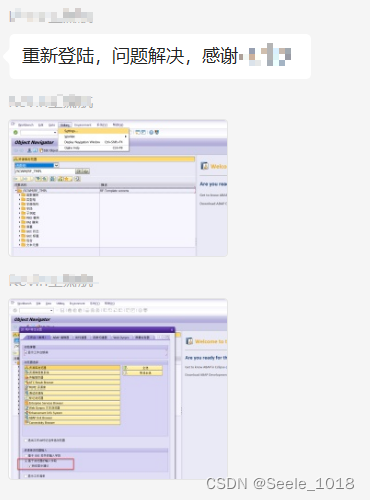 SAP SE80对象浏览器乱码_sap se80乱码-CSDN博客